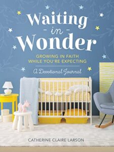 waiting in wonder: growing in faith while you're expecting