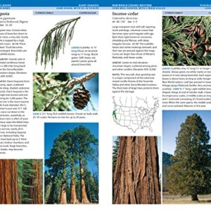 National Wildlife Federation Field Guide to Trees of North America