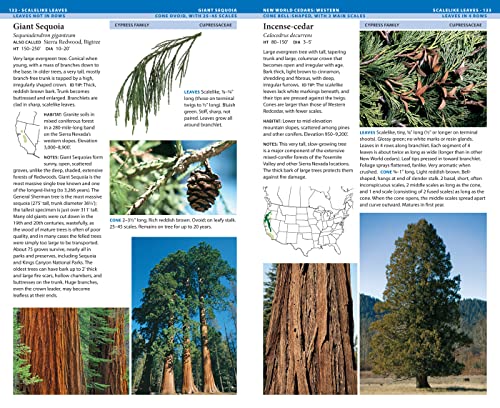 National Wildlife Federation Field Guide to Trees of North America