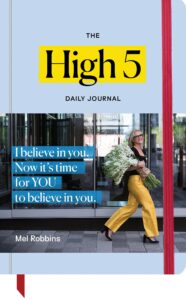 the high 5 daily journal