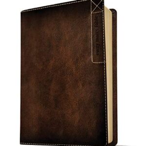 Every Man's Bible: New Living Translation, Deluxe Explorer Edition (LeatherLike, Brown) – Study Bible for Men with Study Notes, Book Introductions, and 44 Charts