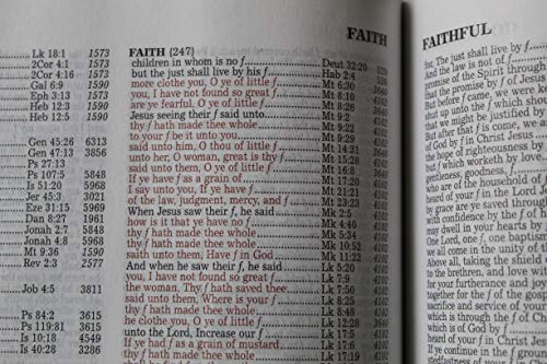 The New Strong's Expanded Exhaustive Concordance of the Bible