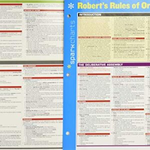 Robert's Rules of Order SparkCharts (Volume 61)