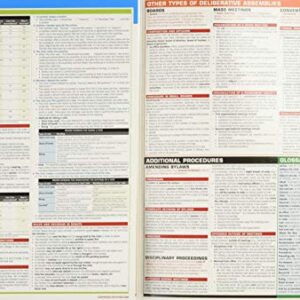 Robert's Rules of Order SparkCharts (Volume 61)