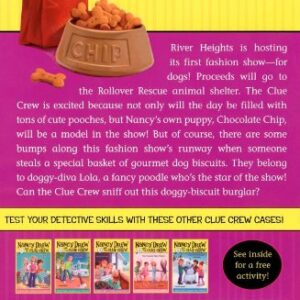 The Fashion Disaster (Nancy Drew and the Clue Crew #6)