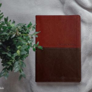 Santa Biblia NTV, Edición personal, letra grande, DuoTono (SentiPiel, Café/Café claro, Letra Roja) (Spanish Edition)