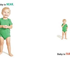 Baby Up, Baby Down: A First Book of Opposites (Baby Loves Books)