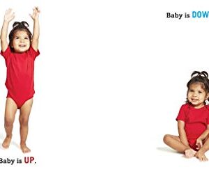 Baby Up, Baby Down: A First Book of Opposites (Baby Loves Books)