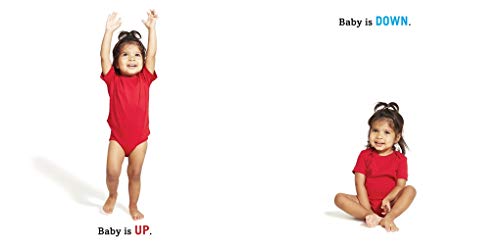 Baby Up, Baby Down: A First Book of Opposites (Baby Loves Books)