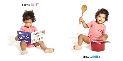 Baby Up, Baby Down: A First Book of Opposites (Baby Loves Books)