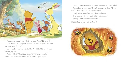 Winnie the Pooh: Pooh's Secret Garden (Disney's Winnie the Pooh)