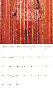 William Wegman Big and Little 2023 Wall Calendar