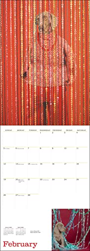 William Wegman Big and Little 2023 Wall Calendar