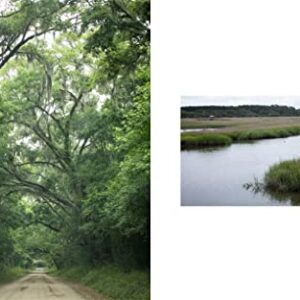 Gullah Geechee Home Cooking: Recipes from the Matriarch of Edisto Island