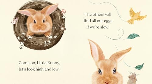 Happy Easter, Little Bunny: A Board Book (Baby Animal Tales)