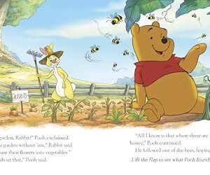 Winnie the Pooh: Pooh's Secret Garden (Disney's Winnie the Pooh)