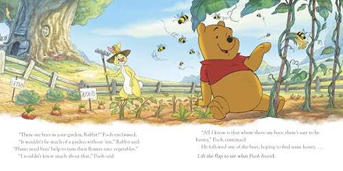 Winnie the Pooh: Pooh's Secret Garden (Disney's Winnie the Pooh)