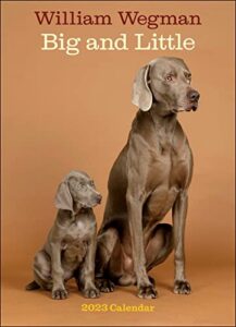 william wegman big and little 2023 wall calendar