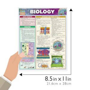 Biology: a QuickStudy Laminated Reference Guide (QuickStudy Academic)