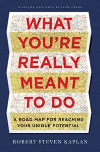 what you're really meant to do: a road map for reaching your unique potential