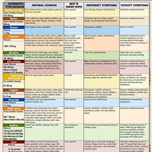 Vitamins & Minerals: a QuickStudy Laminated Reference Guide (QuickStudy Health)