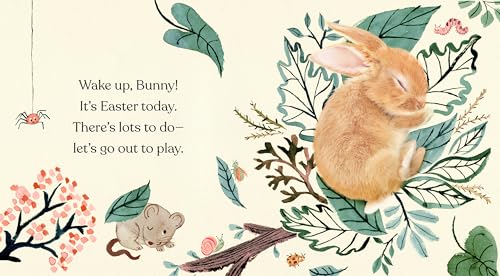 Happy Easter, Little Bunny: A Board Book (Baby Animal Tales)