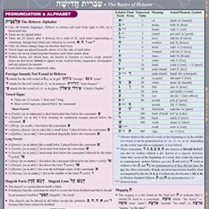 Hebrew Grammar QuickStudy Laminated Reference Guide (QuickStudy Academic)