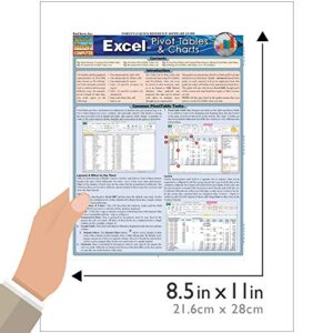 Excel: Pivot Tables & Charts QuickStudy Laminated Reference Guide (QuickStudy Computer)