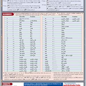 Arabic Grammar QuickStudy Laminated Reference Guide (QuickStudy Academic)