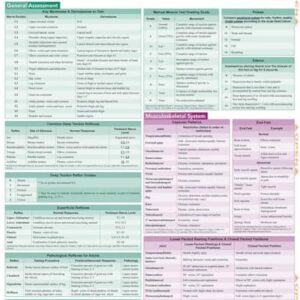 Physical Therapy QuickStudy Laminated Reference Guide (QuickStudy Academic)