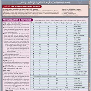 Arabic Grammar QuickStudy Laminated Reference Guide (QuickStudy Academic)