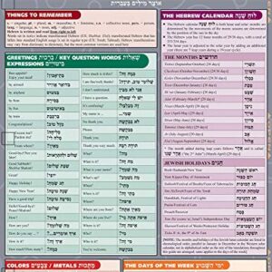 Hebrew Vocabulary QuickStudy Laminated Reference Guide (QuickStudy Academic)