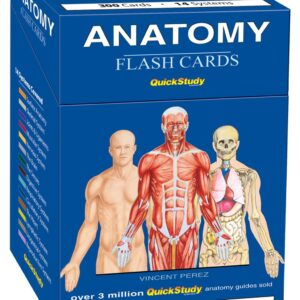 Anatomy Flash Cards: a QuickStudy Reference Tool