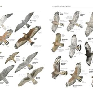 National Geographic Field Guide to the Birds of North America, 7th Edition