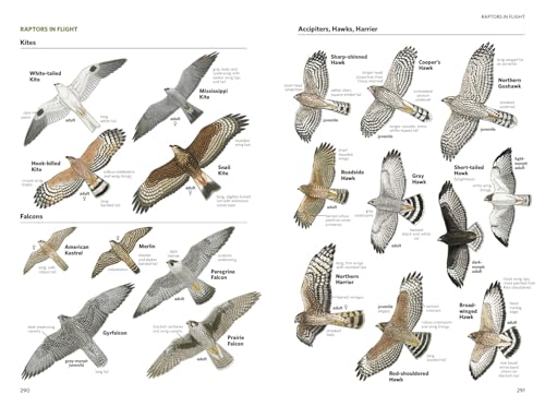 National Geographic Field Guide to the Birds of North America, 7th Edition