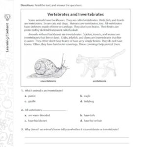 180 Days™: Science, Earth and Space Science for 4th Grade Practice Workbook for Classroom and Home, Cool and Fun Practice Created by Teachers (180 Days of Practice)