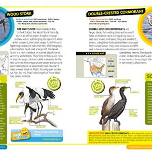 Ultimate Explorer Field Guide: Birds