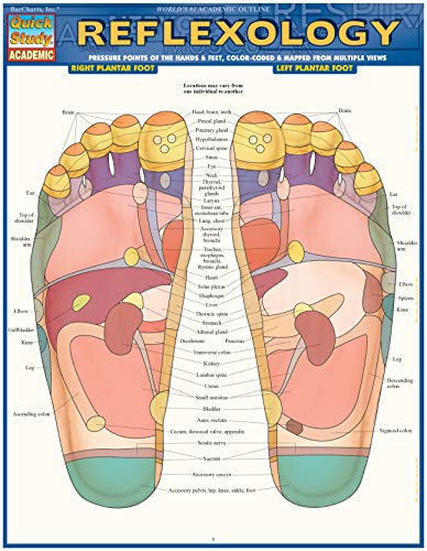 Reflexology QuickStudy Laminated Reference Guide (QuickStudy Academic)