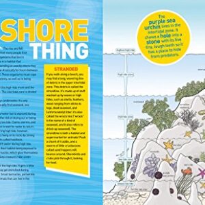 Ultimate Oceanpedia: The Most Complete Ocean Reference Ever (National Geographic Kids)