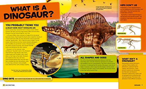 National Geographic Kids Everything Dinosaurs: Chomp on Tons of Earthshaking Facts and Fun