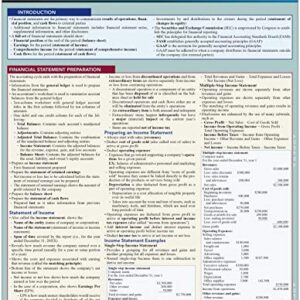 Financial Statements QuickStudy Laminated Reference Guide (QuickStudy Business)