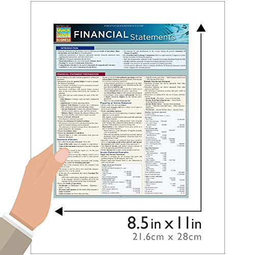 Financial Statements QuickStudy Laminated Reference Guide (QuickStudy Business)