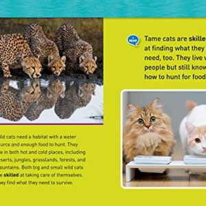 Cats (National Geographic Kids Readers, Level 1/Co-Reader)