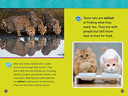 Cats (National Geographic Kids Readers, Level 1/Co-Reader)