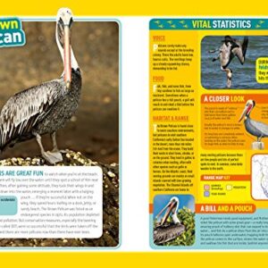 National Geographic Kids Bird Guide of North America, Second Edition