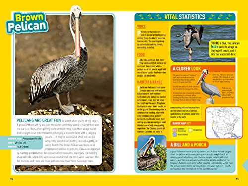 National Geographic Kids Bird Guide of North America, Second Edition