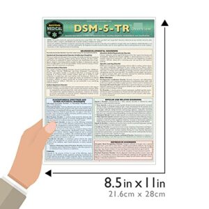 DSM-5-TR Overview: a QuickStudy Laminated Reference Guide