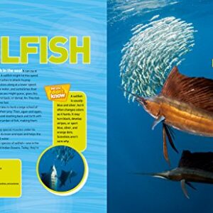 Ultimate Oceanpedia: The Most Complete Ocean Reference Ever (National Geographic Kids)