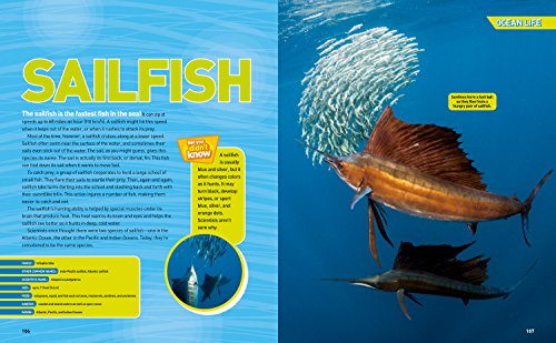 Ultimate Oceanpedia: The Most Complete Ocean Reference Ever (National Geographic Kids)