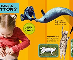 National Geographic Little Kids First Big Book of Why (National Geographic Little Kids First Big Books)